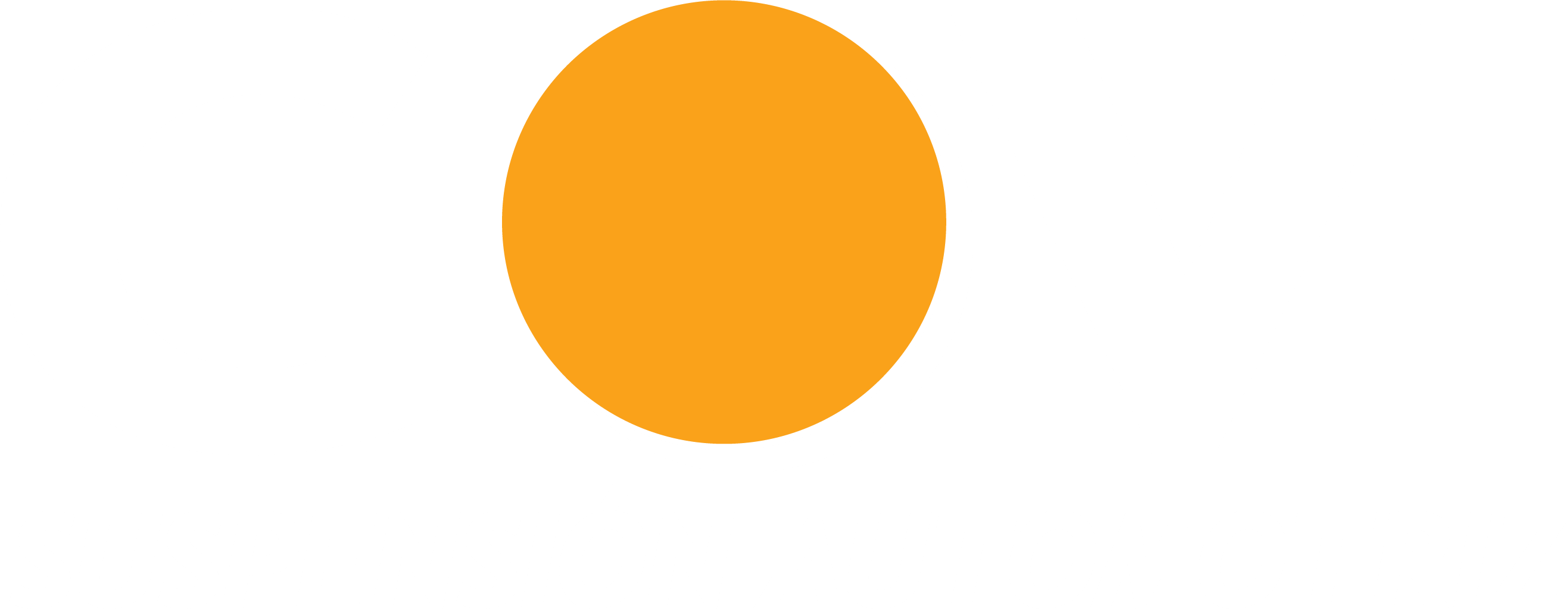 GOVI - Suspensión Automotriz